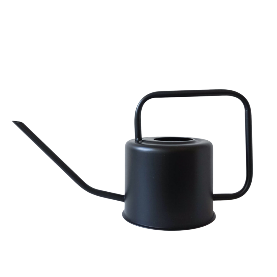 Watering Can (Abstract) – Wilde Interiors & Flowers